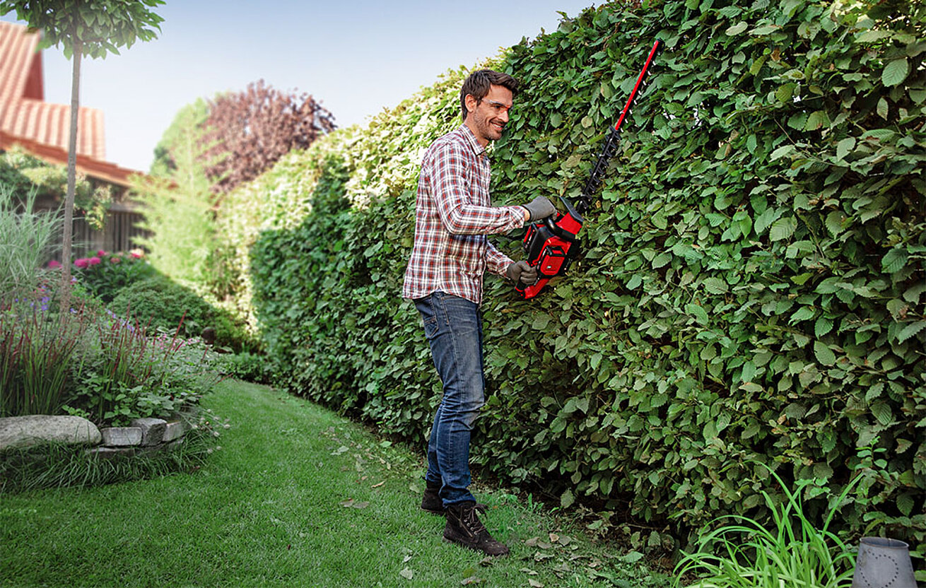 Trimming Hedges: When and How? | Einhell Blog