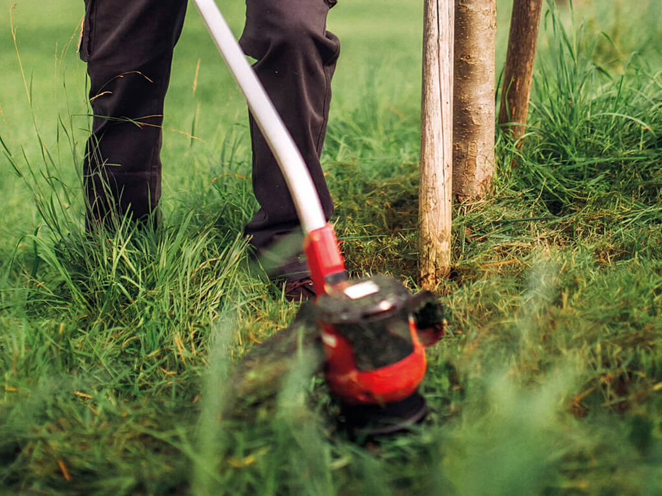 Cordless lawn trimmer: Trimmer line vs. blades – Einhell Blog